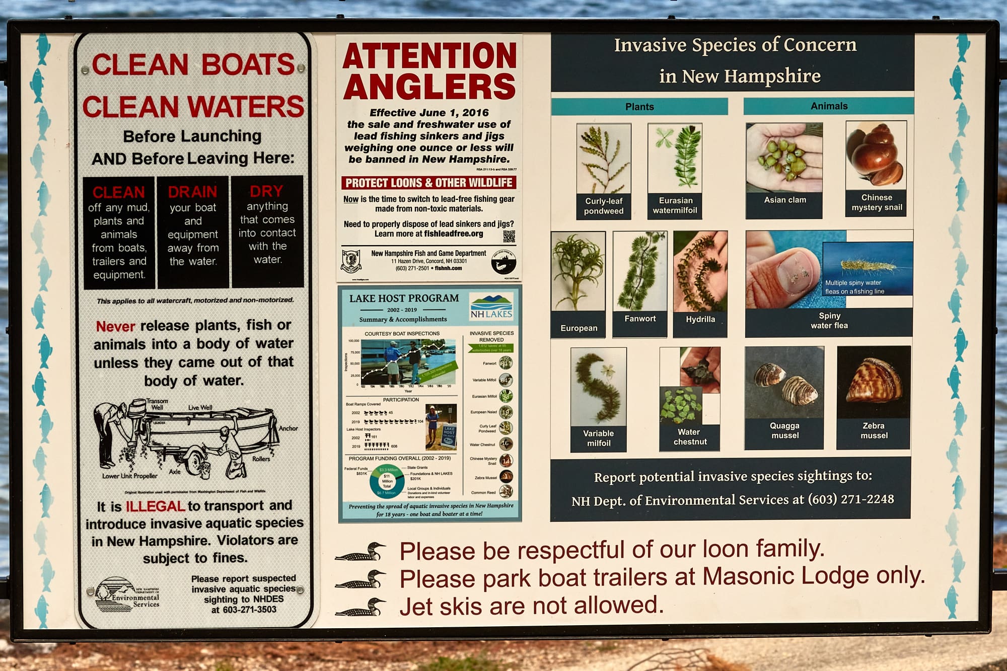 Invasive Species Prevention | Pleasant Lake Protective Association